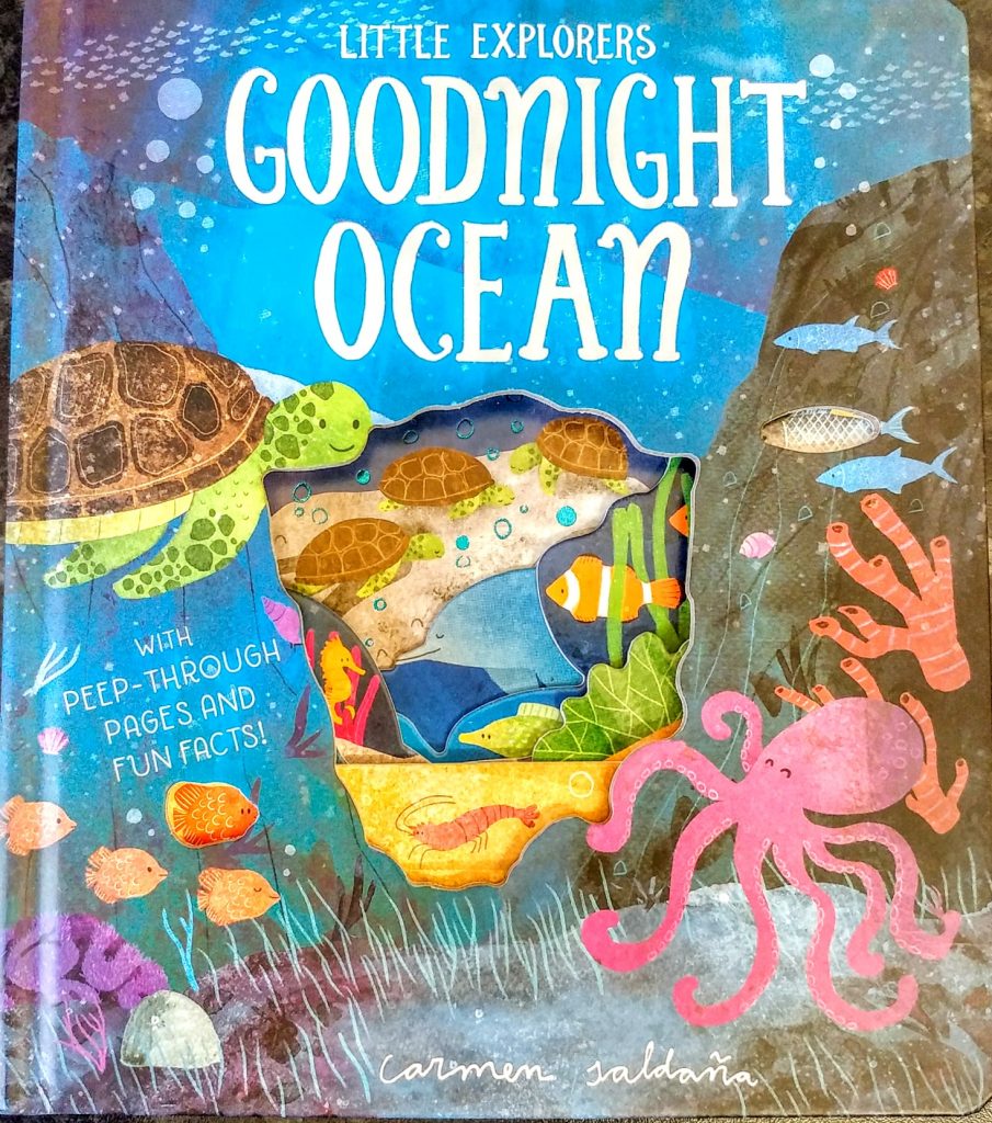 Little Explorers: Goodnight Ocean - Children's Book Review ...